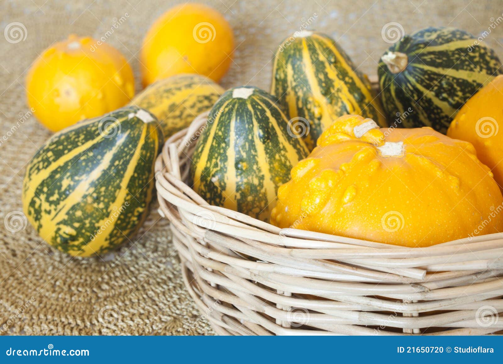 Calabash stock photo. Image of colorful, delicious, calabash - 21650720