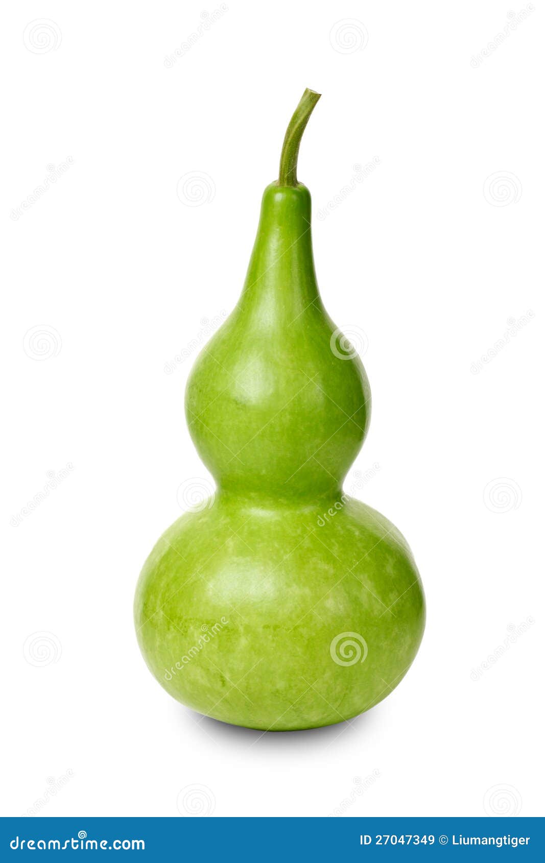Calabash stock image. Image of isolated, white, vegetable - 27047349