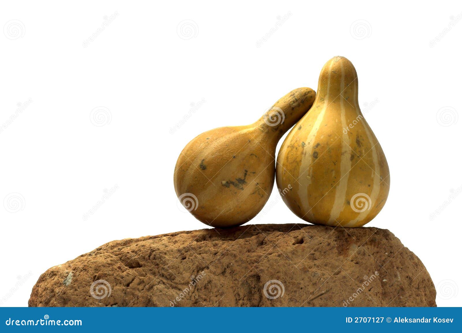 Calabash stock image. Image of harvest, cooking, light - 2707127