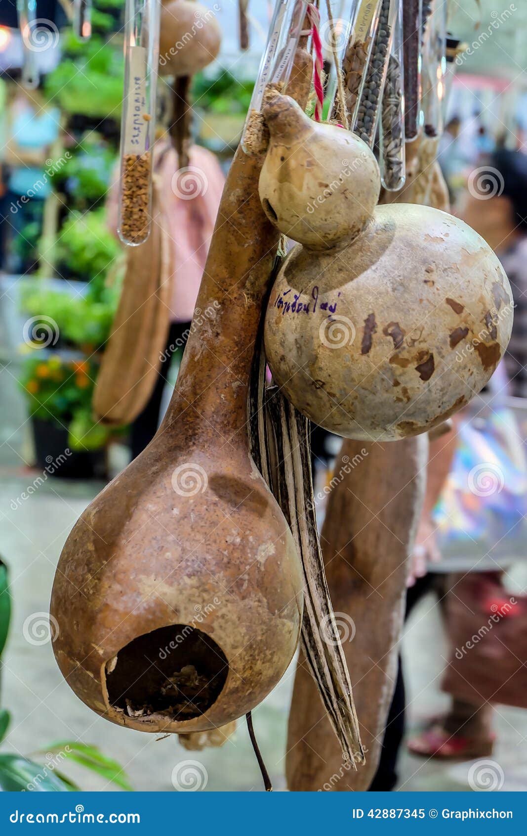 Calabash stock afbeelding. Image of hangen, winkel, amerikaans - 42887345