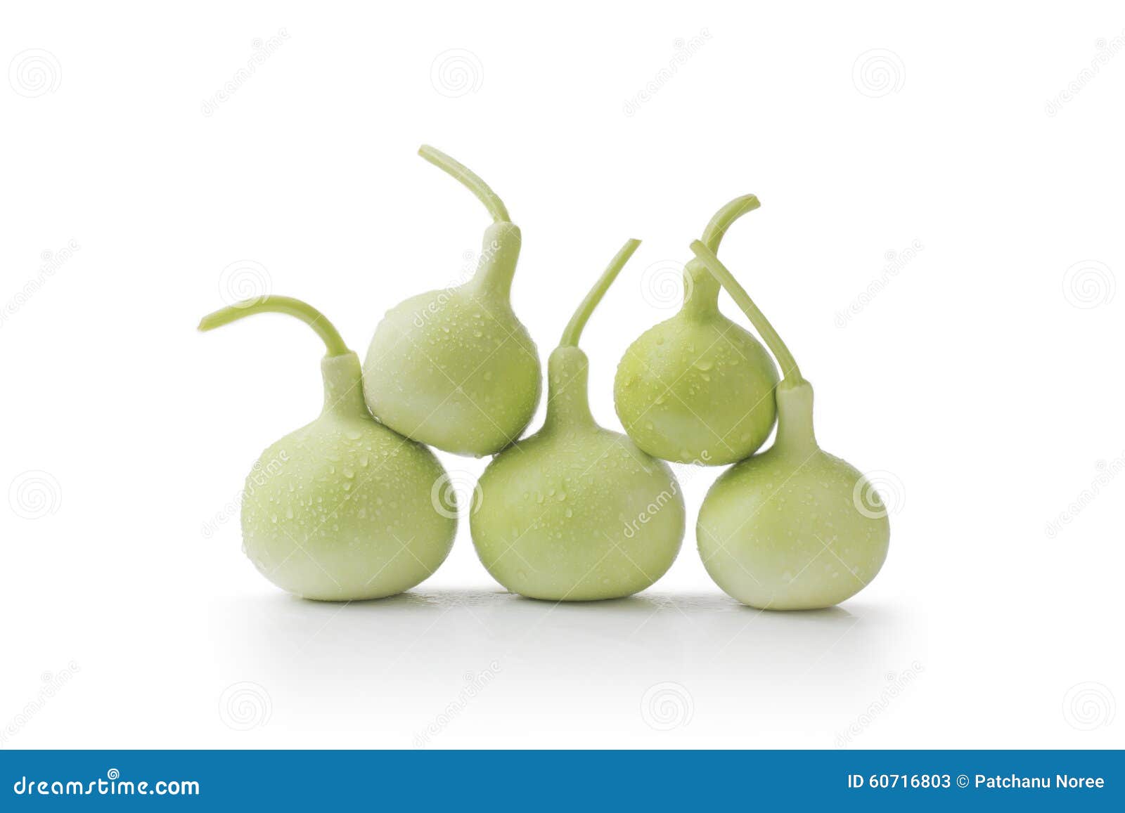 Calabash imagen de archivo. Imagen de comestible, aislado - 60716803