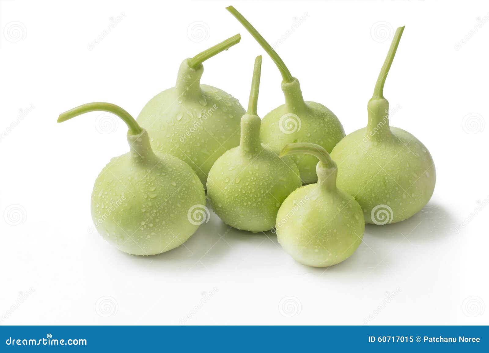 Calabash imagen de archivo. Imagen de frescura, comestible - 60717015