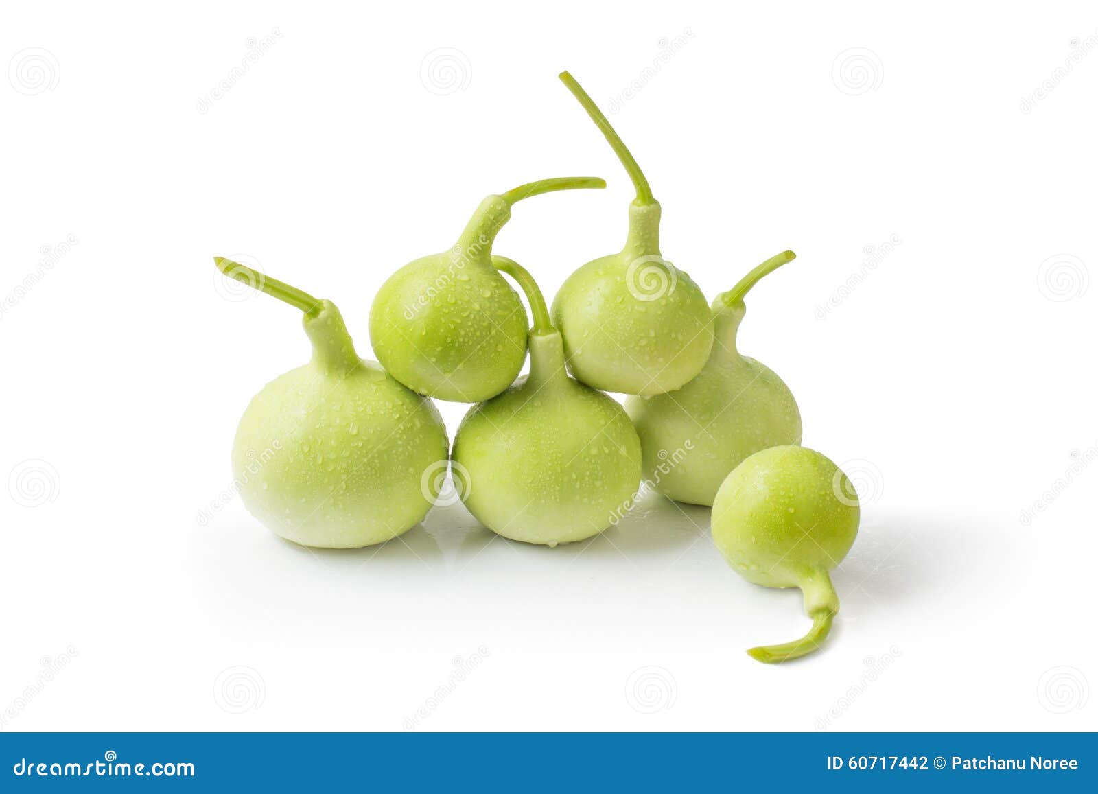 Calabash foto de archivo. Imagen de fondo, alineada, blanco - 60717442