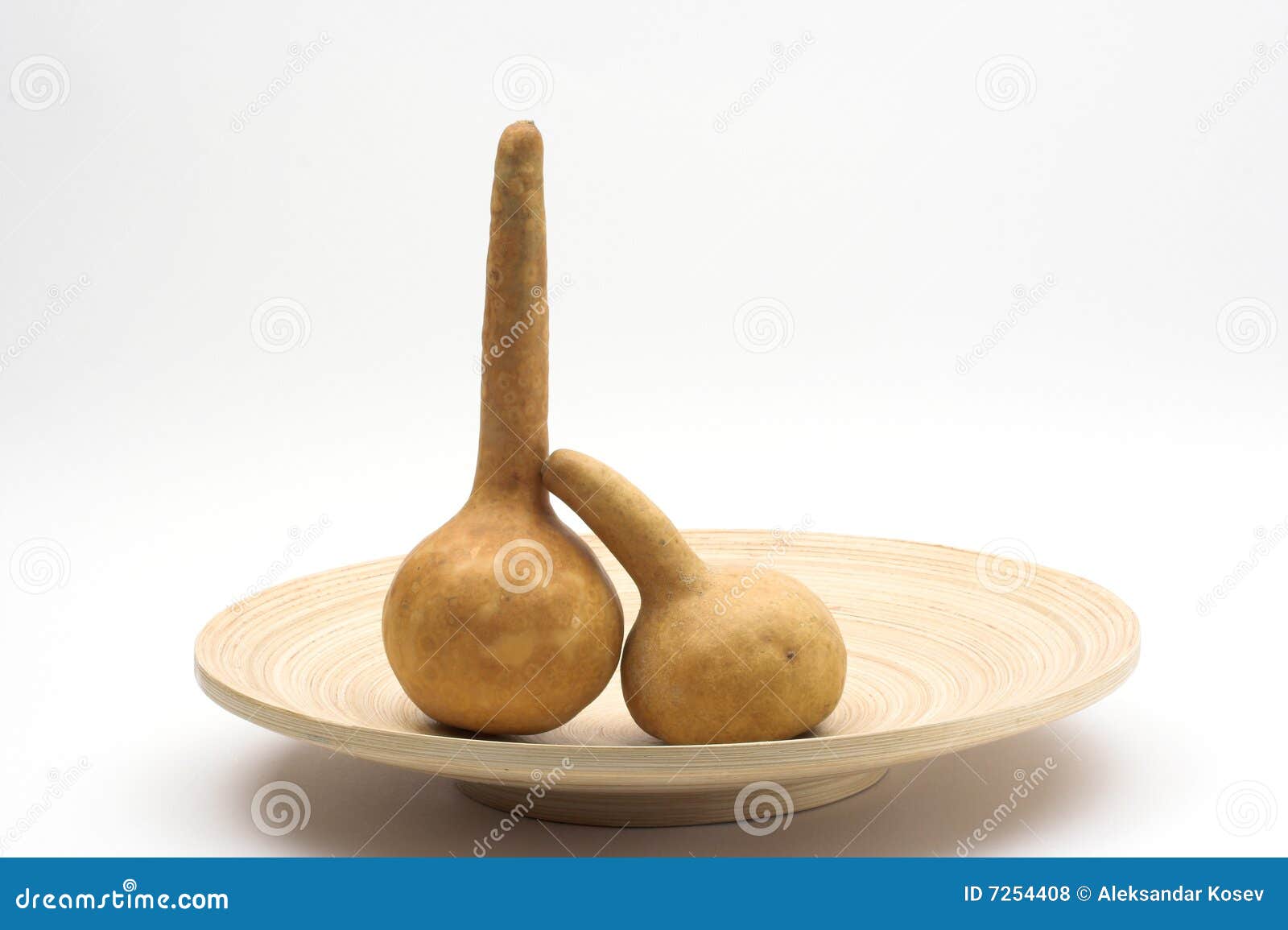 Calabash stock photo. Image of nature, harvest, gourd - 7254408