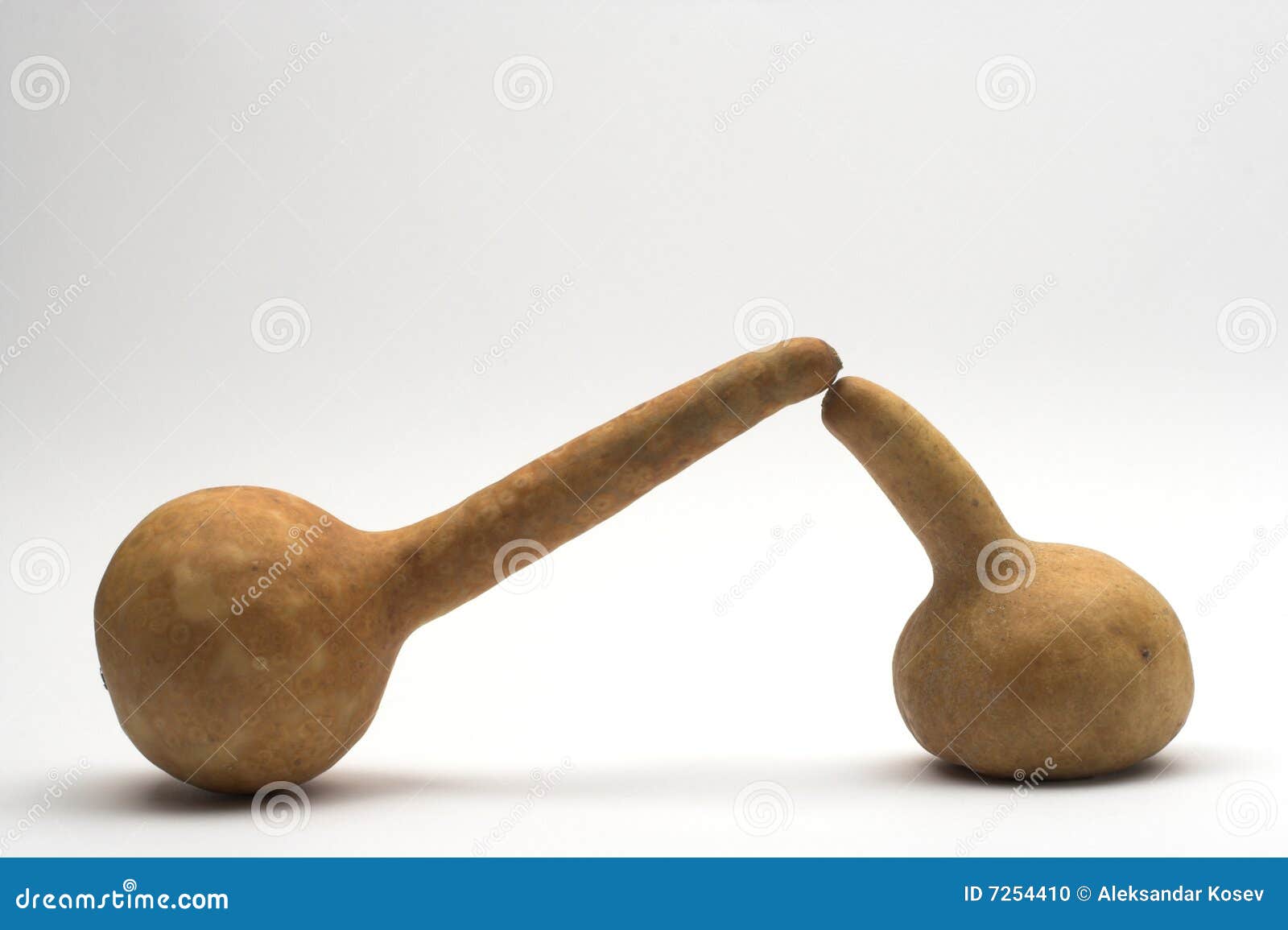 Halloween Calabash Stock Photo | CartoonDealer.com #76198188