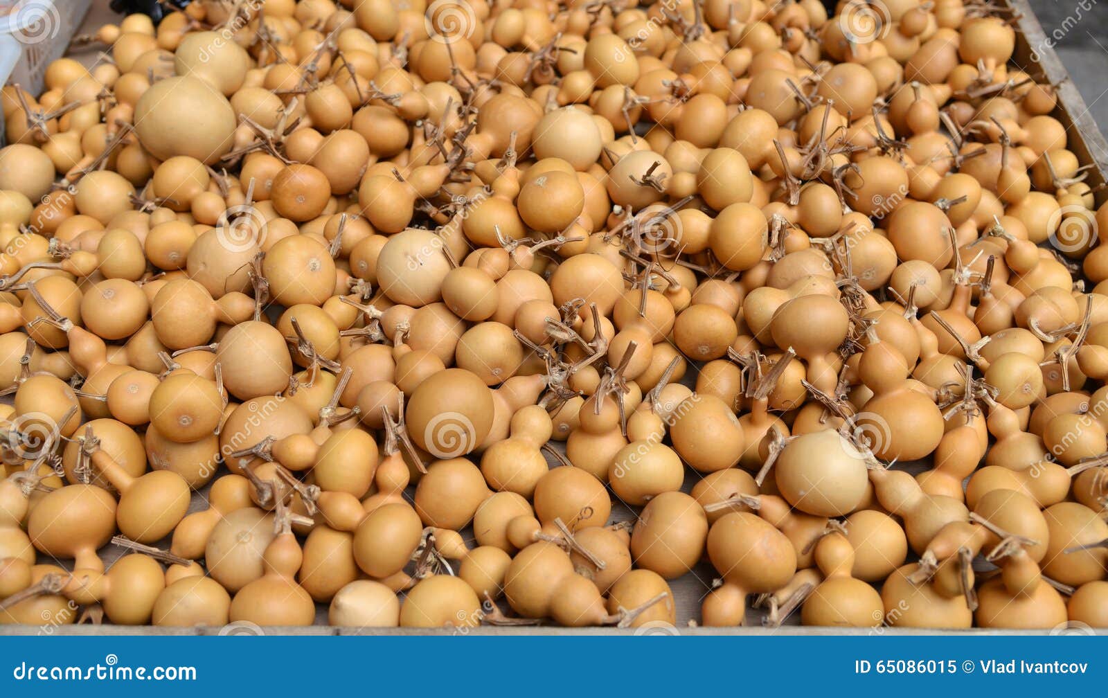 Calabash. stock image. Image of element, container, shui - 65086015