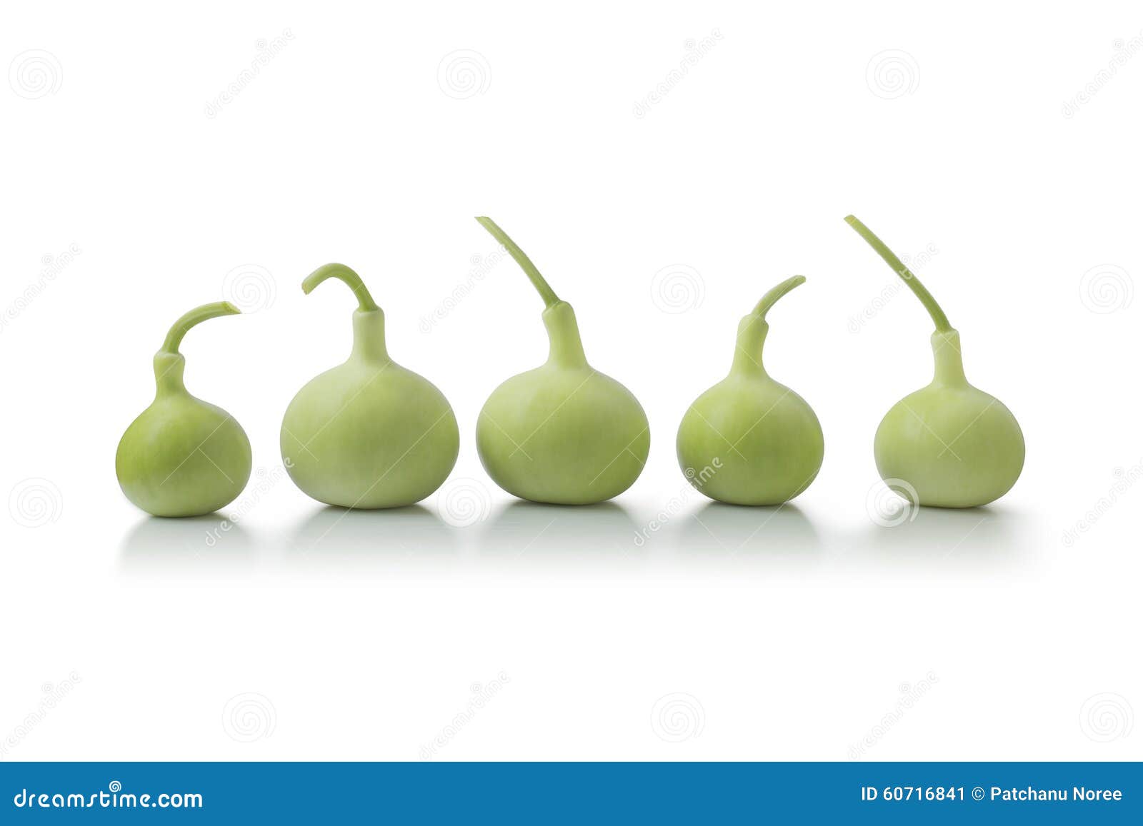 Calabash stock image. Image of squash, closeup, fruits - 60716841