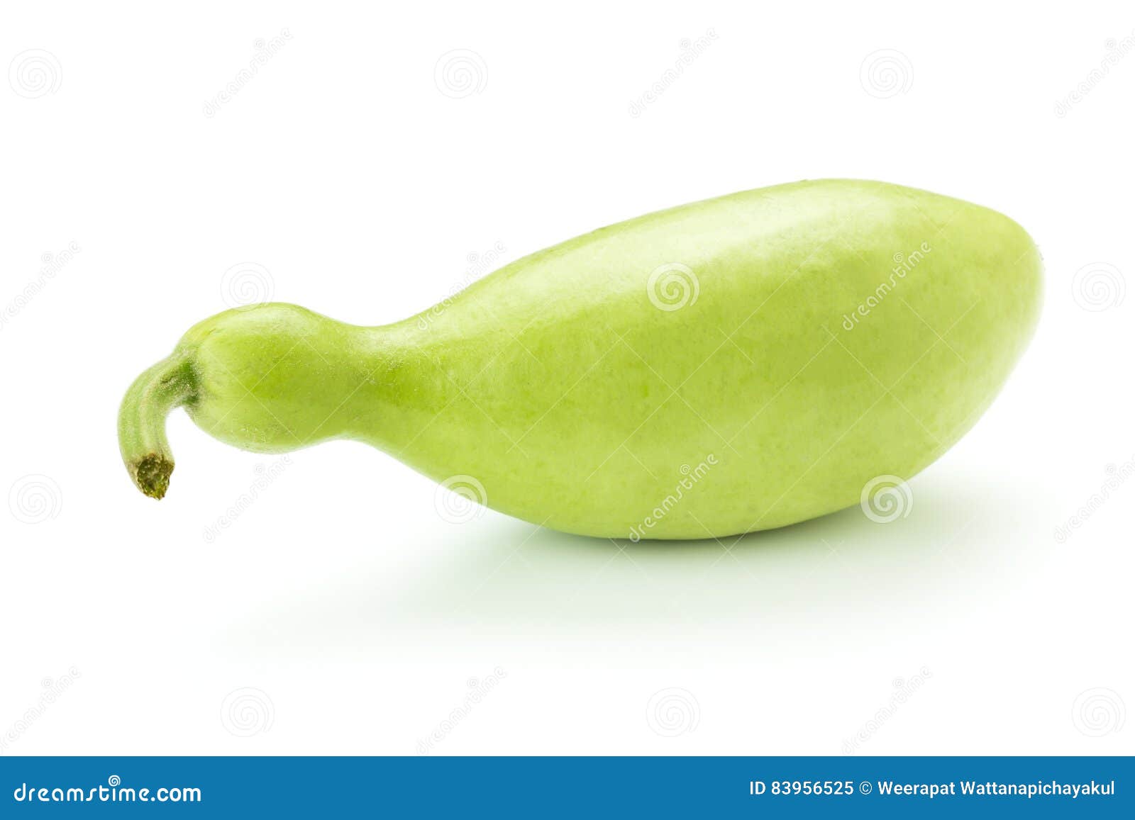 Calabash stock image. Image of freshness, fresh, nutrient - 83956525