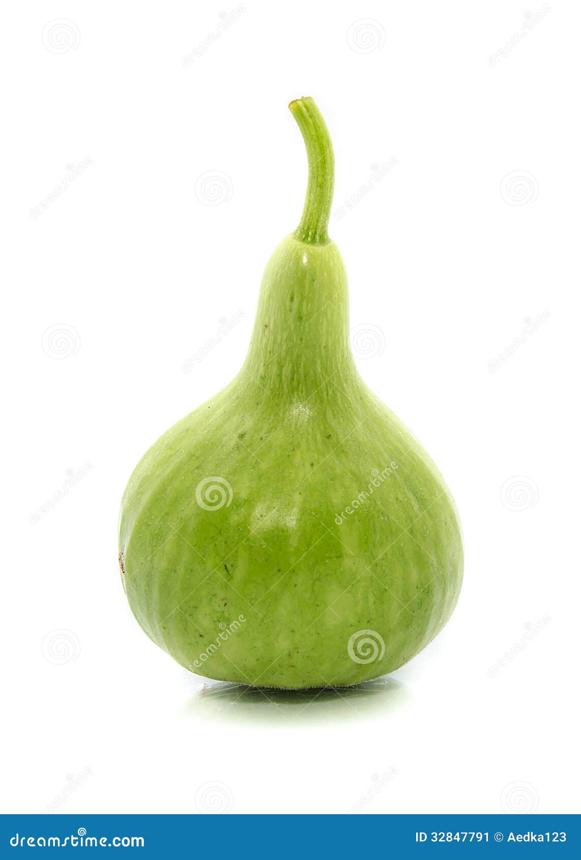 Calabash Cut, Bottle Gourd Fruit. Seamless Pattern With Calabash ...