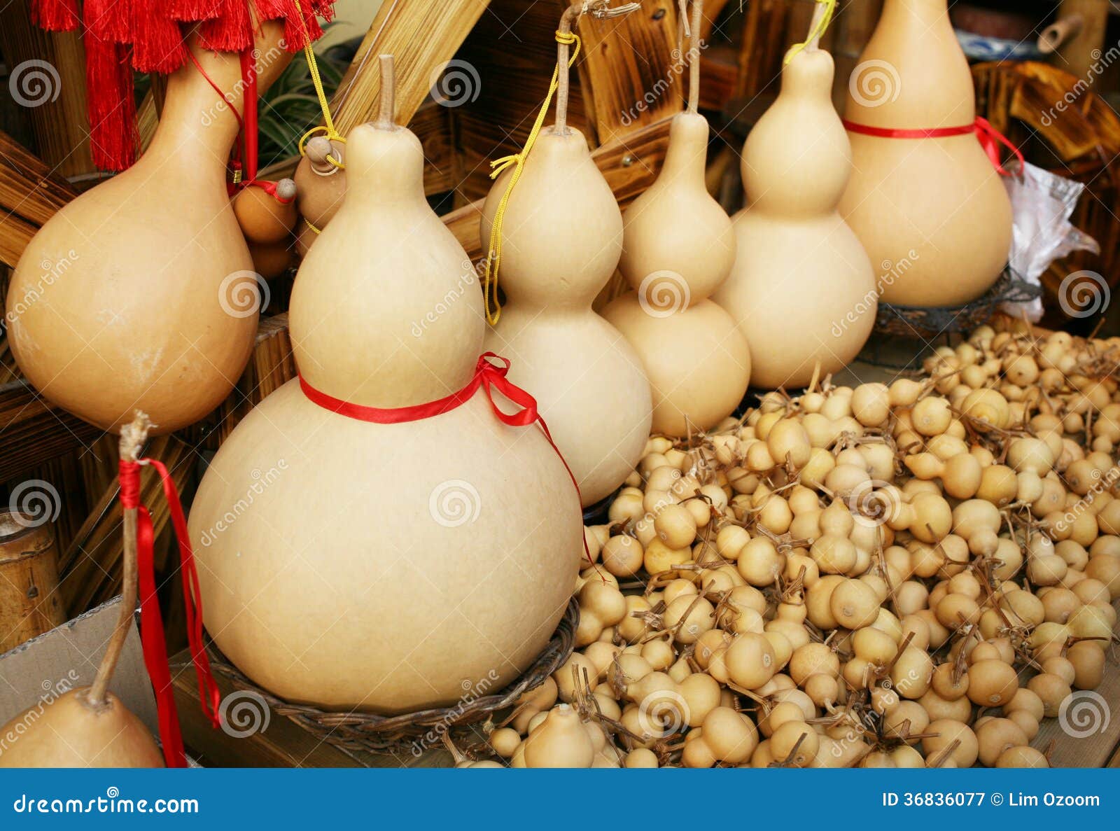 Calabash stock image. Image of hang, botanic, festival - 36836077