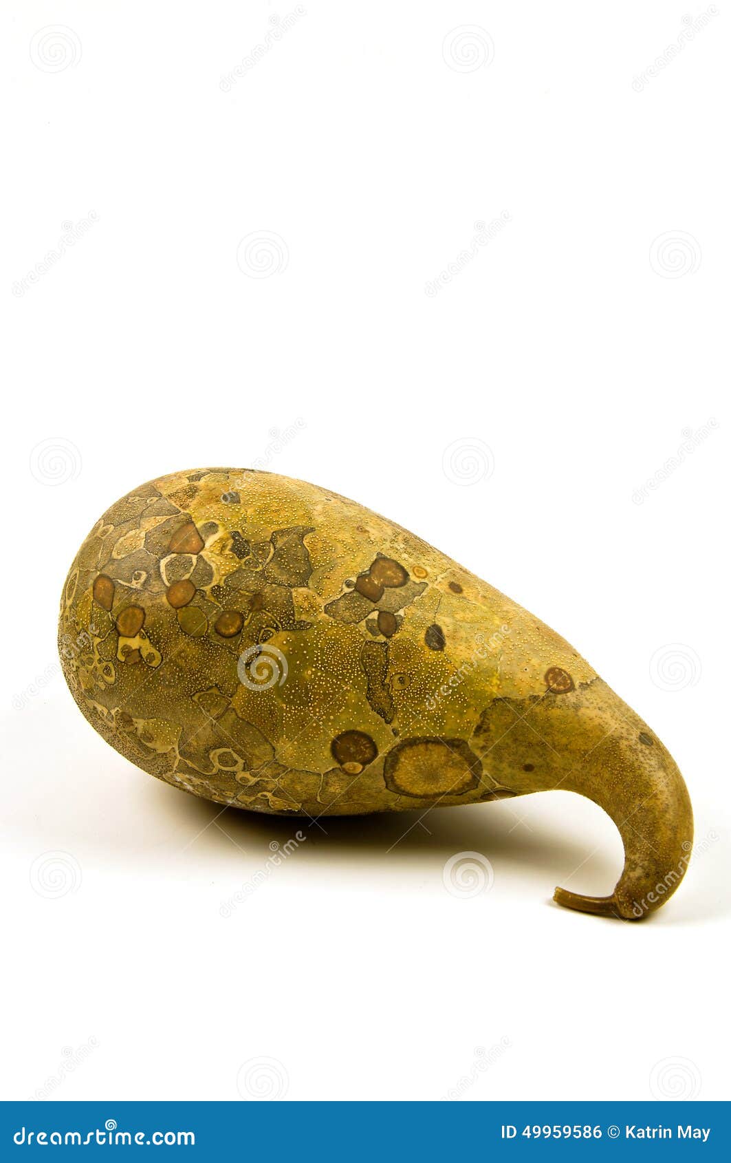 Calabash Isolated on White Background Stock Photo - Image of calabash ...