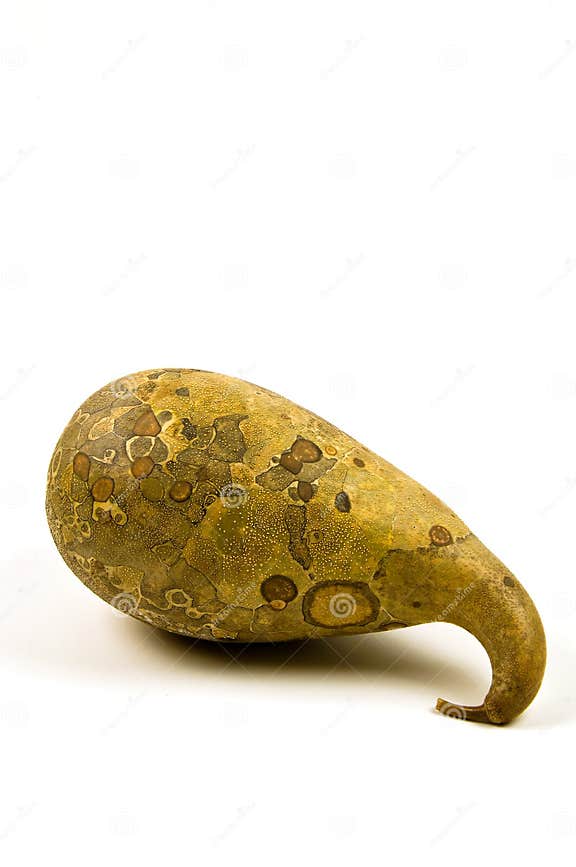 Calabash Isolated on White Background Stock Photo - Image of calabash ...