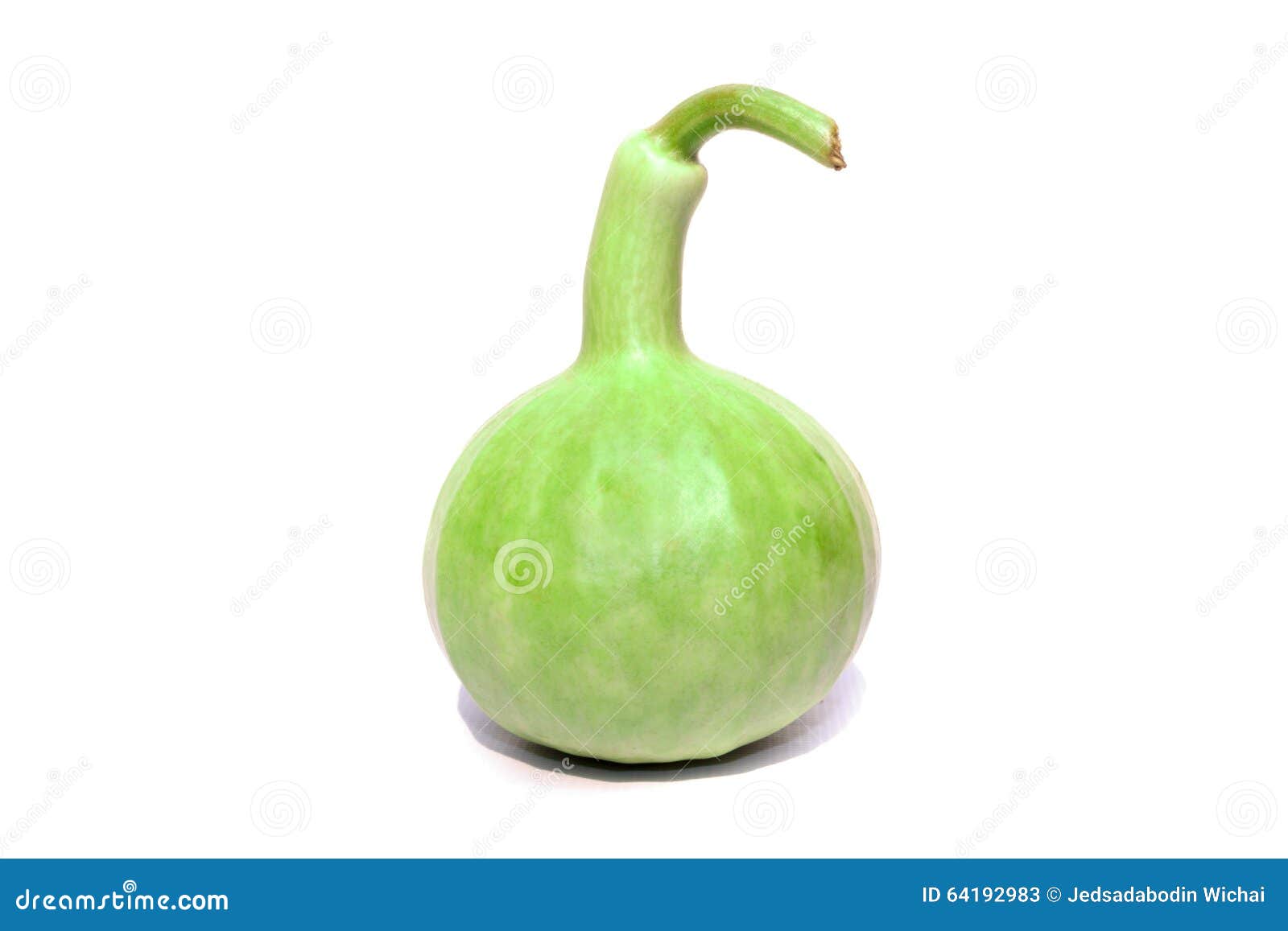 Calabash stock image. Image of fresh, agriculture, isolated - 64192983