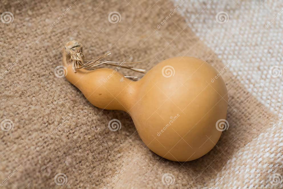 Calabash stock photo. Image of object, brown, plant, gourd - 66023824