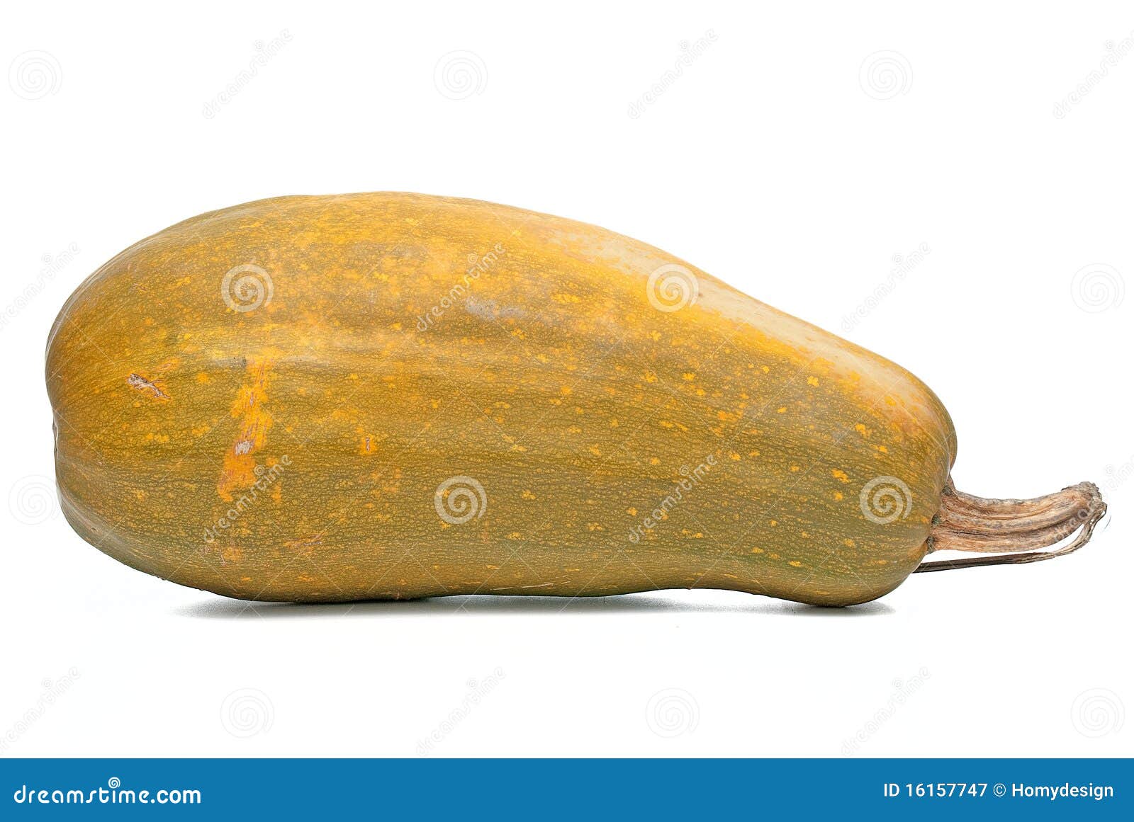 Calabash pumpkin stock image. Image of berry, cymlin - 16157747