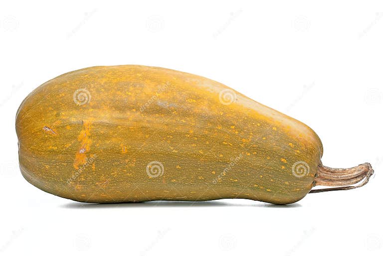 Calabash pumpkin stock image. Image of berry, cymlin - 16157747