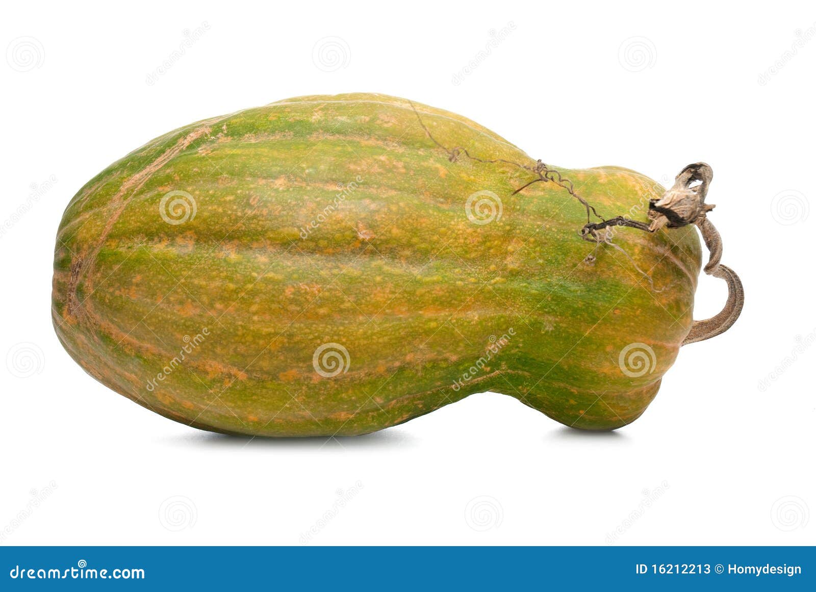 Calabash pumpkin stock image. Image of vegetable, orange - 16212213