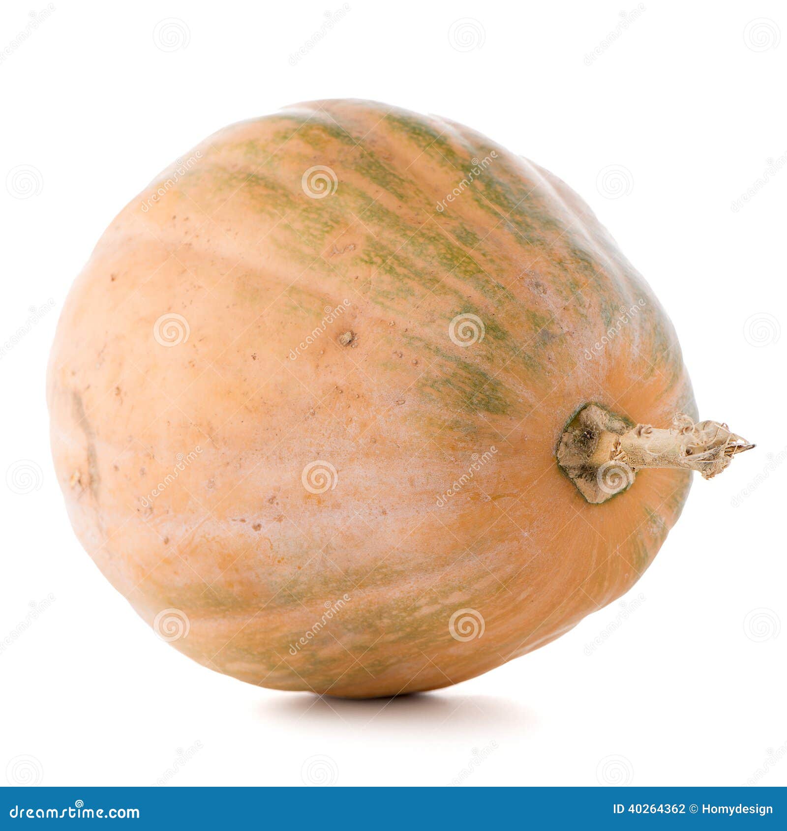Calabash pumpkin stock photo. Image of white, healthy - 40264362