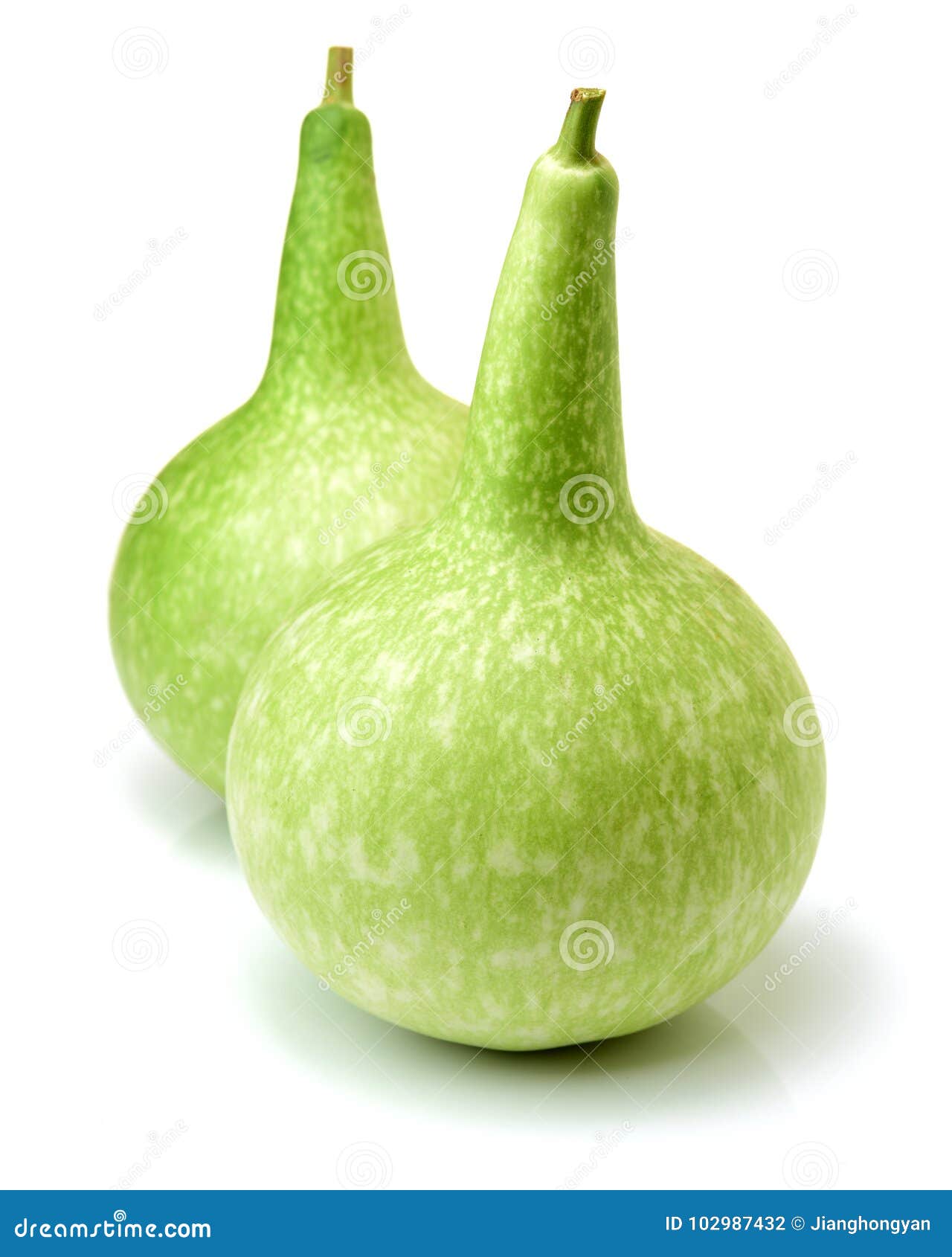 Calabash vegetable stock photo. Image of foodstuff, food - 102987432