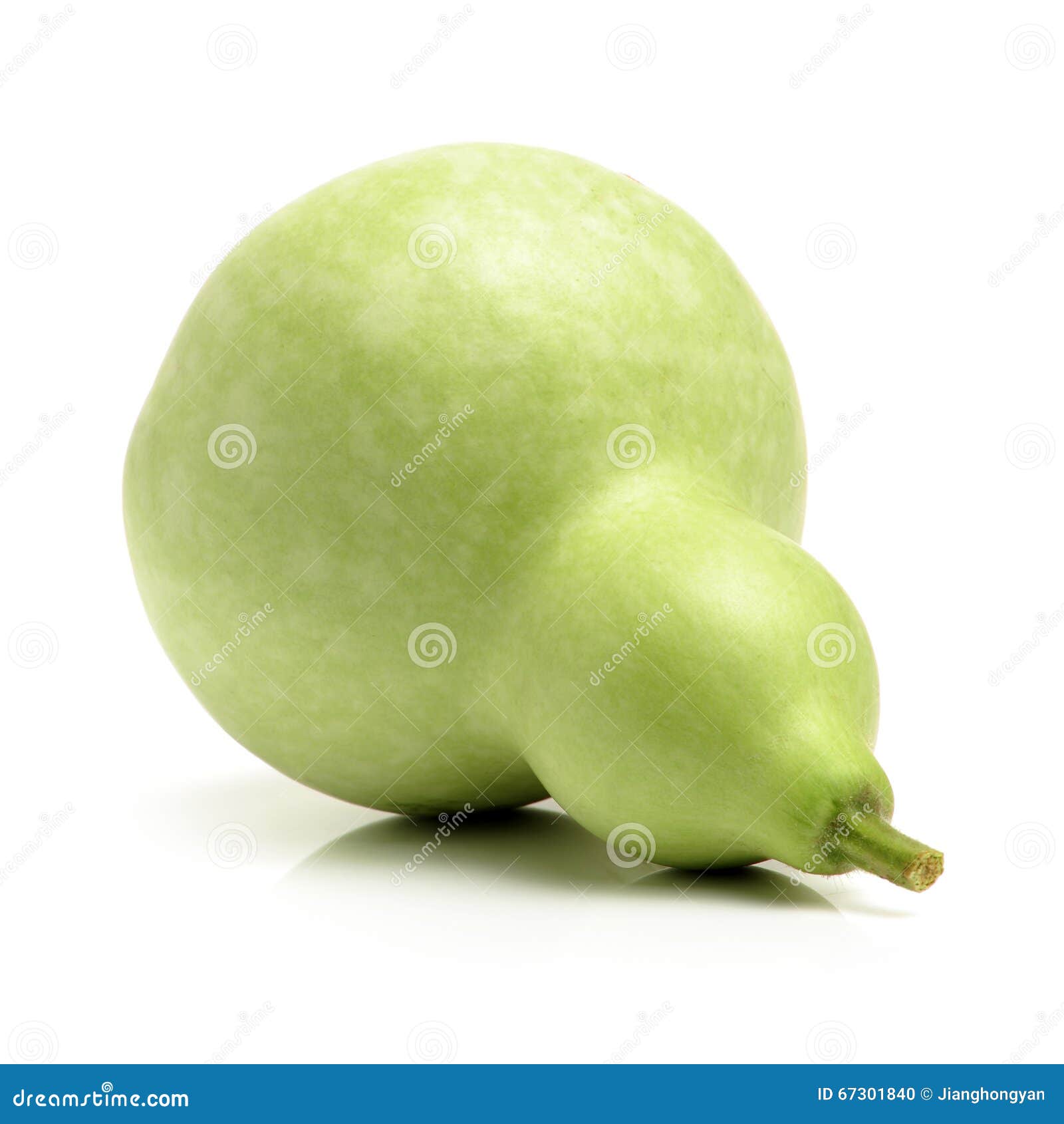 Calabash stock photo. Image of grocery, nutrition, delicious - 67301840