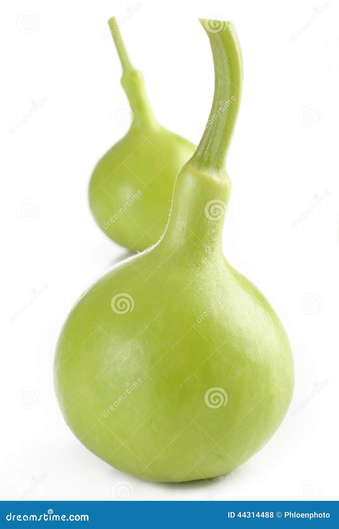 Calabash on White Background Stock Photo - Image of edible, vitamins ...