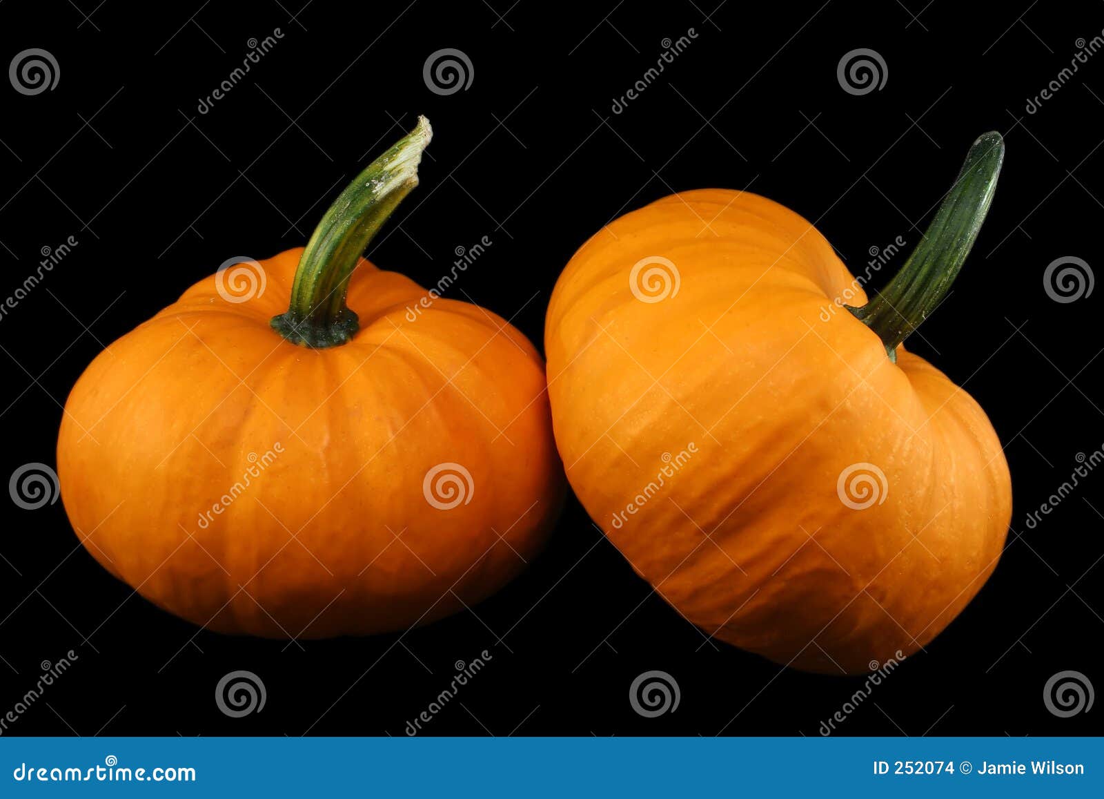 Calabaza 1 Imagen. Imagen: 252074
