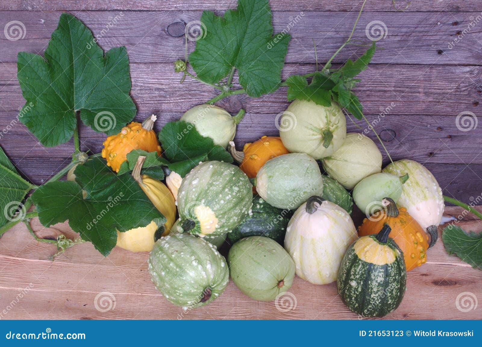 Calabaza imagen de archivo. Imagen de madera, vacaciones - 21653123