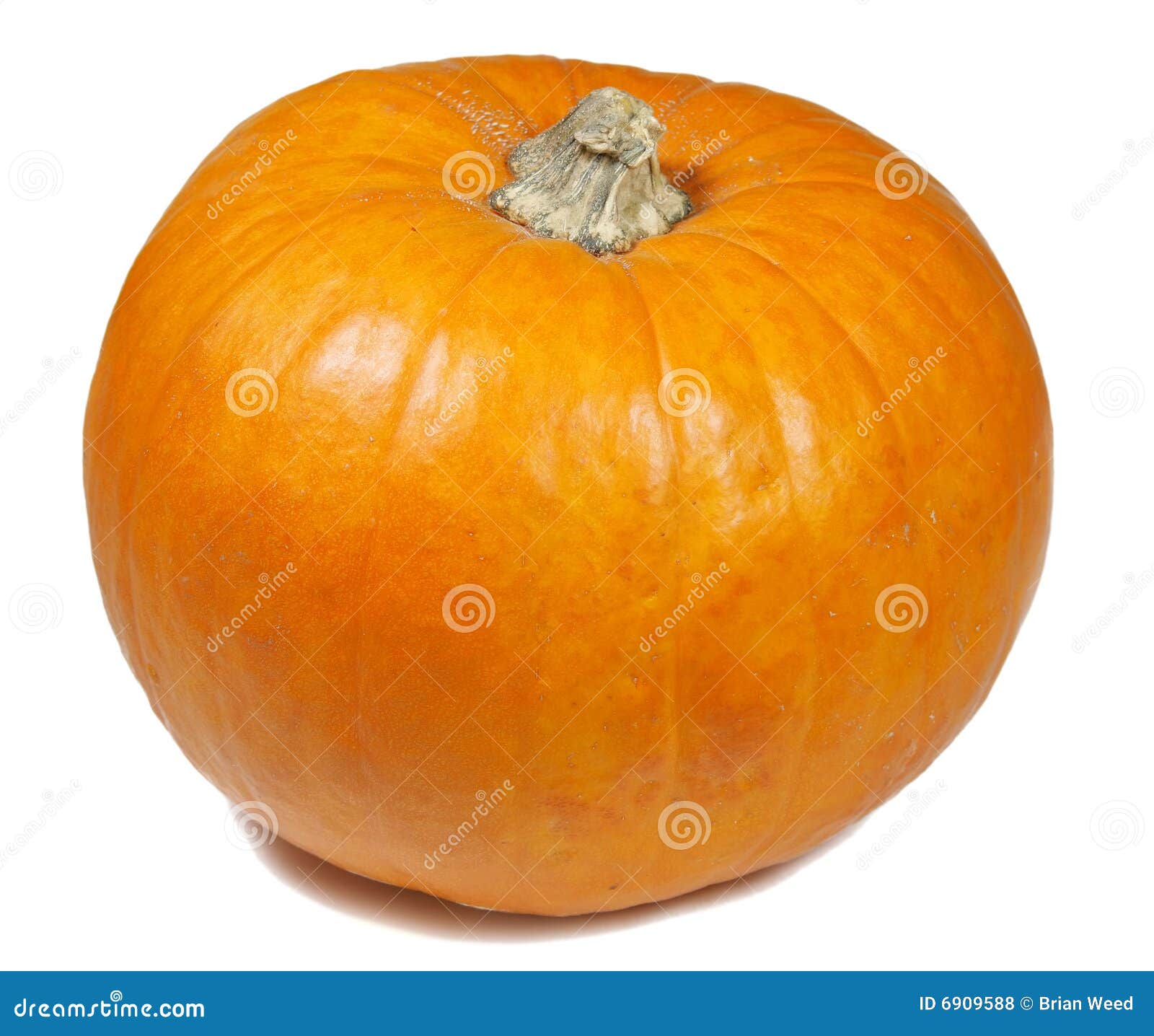 Calabaza Imagen. Imagen: 6909588