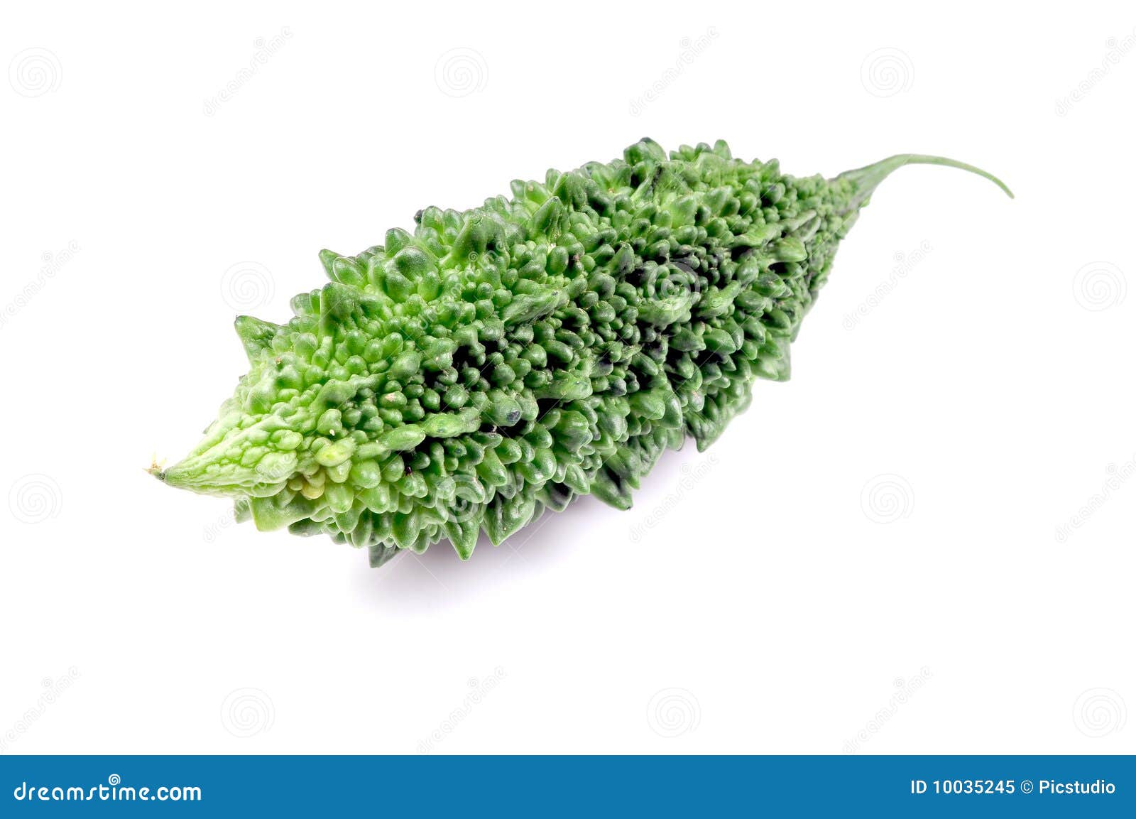 Calabaza amarga imagen de archivo. Imagen de coma, agricultura - 10035245