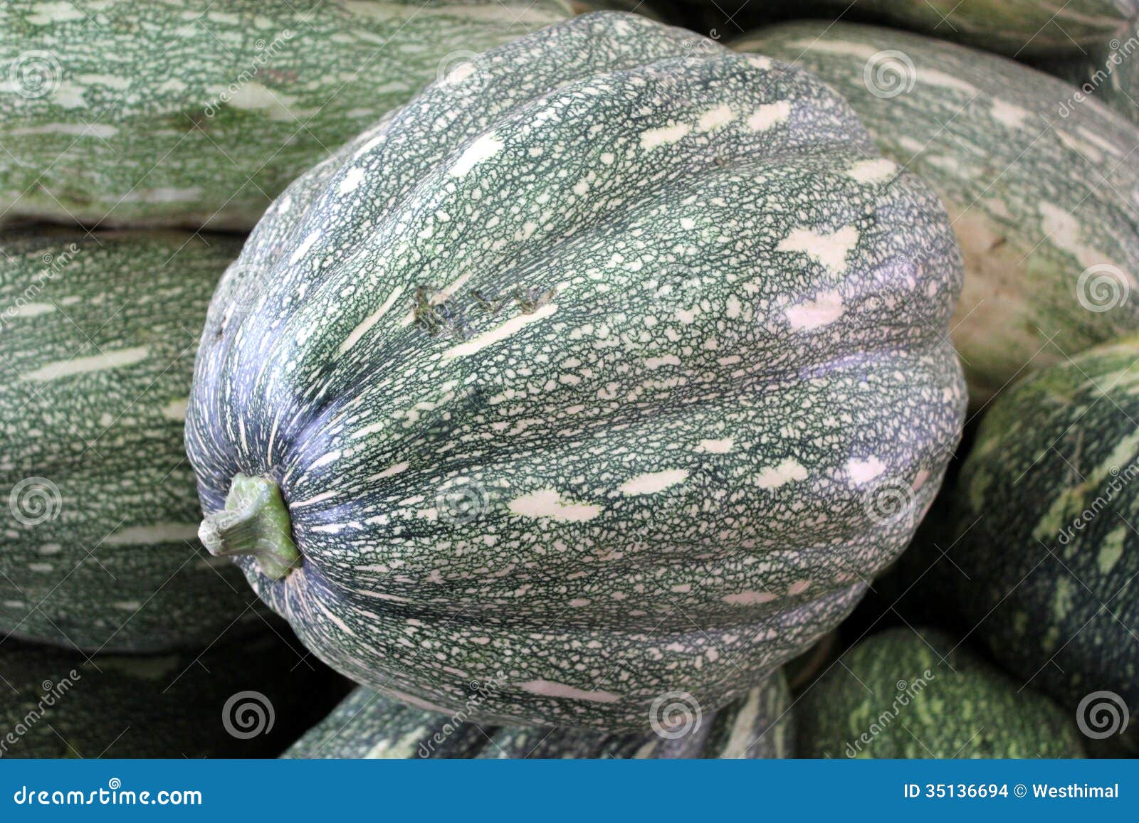 Calabaza de Ayote foto de archivo. Imagen de verde, amarillo - 35136694
