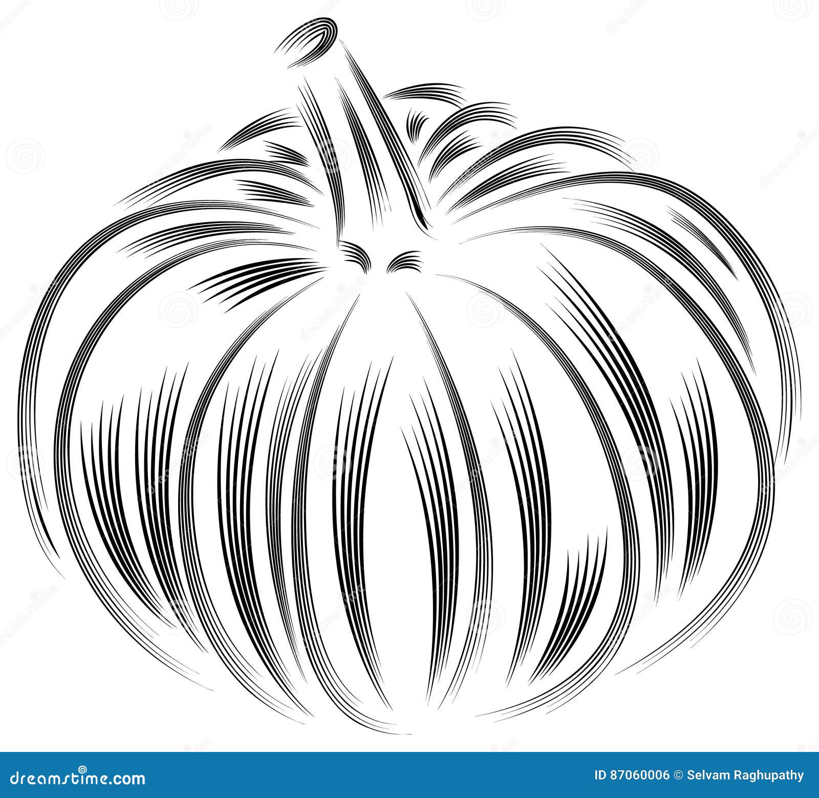 Calabaza del vector ilustración del vector. Ilustración de ingrediente ...