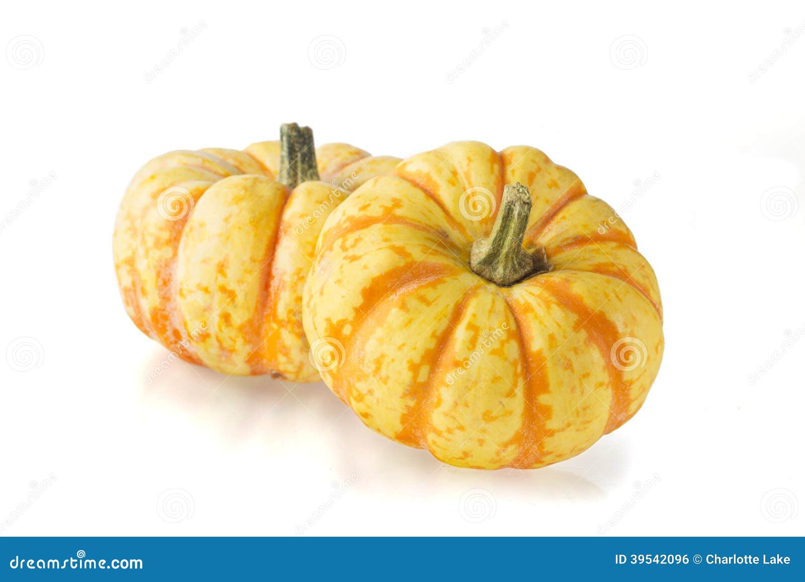 Calabaza Dulce Del Relámpago Foto de archivo - Imagen de alimento ...