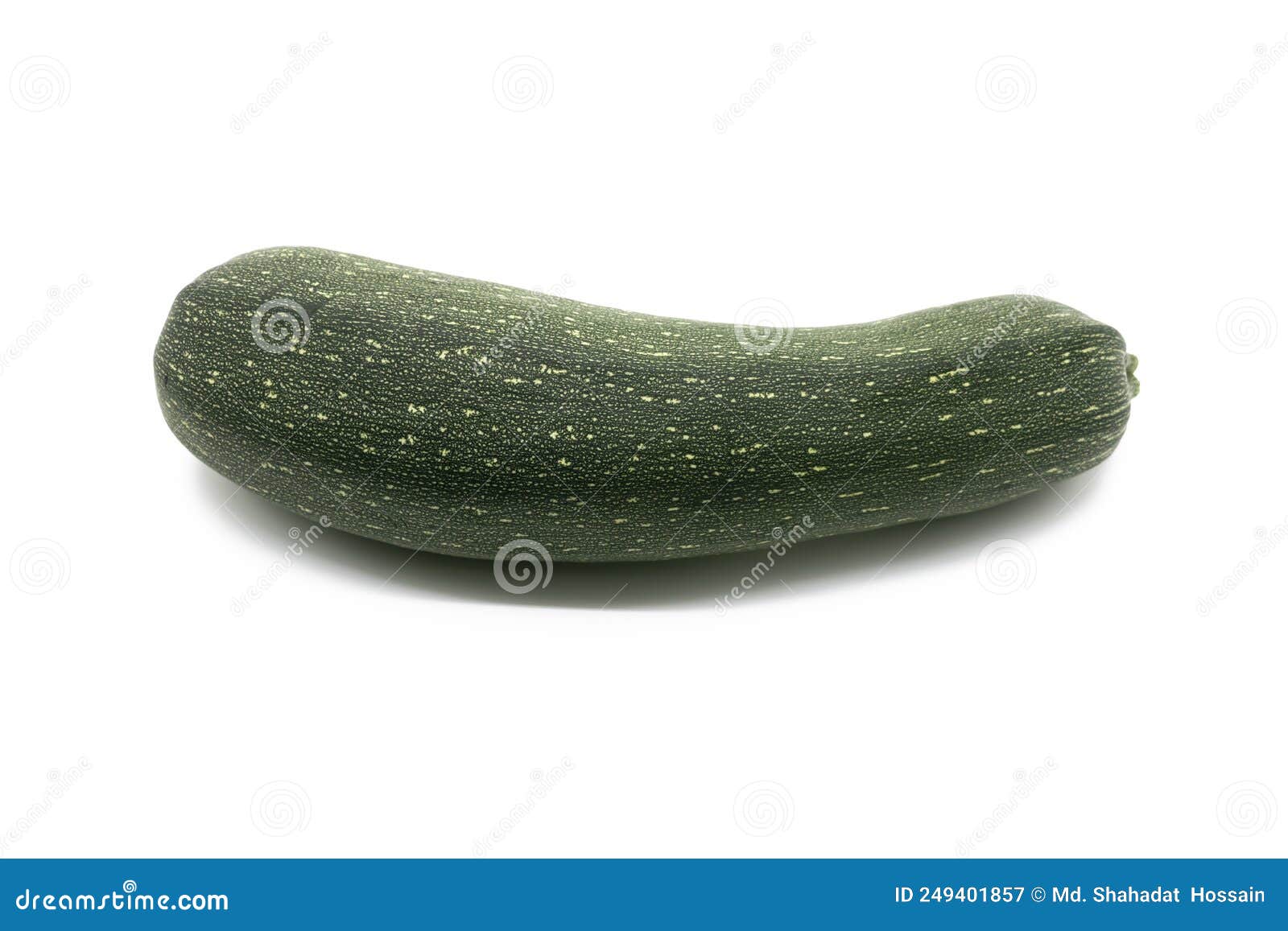 Calabaza Larga Sobre Fondo Blanco Imagen de archivo - Imagen de ...