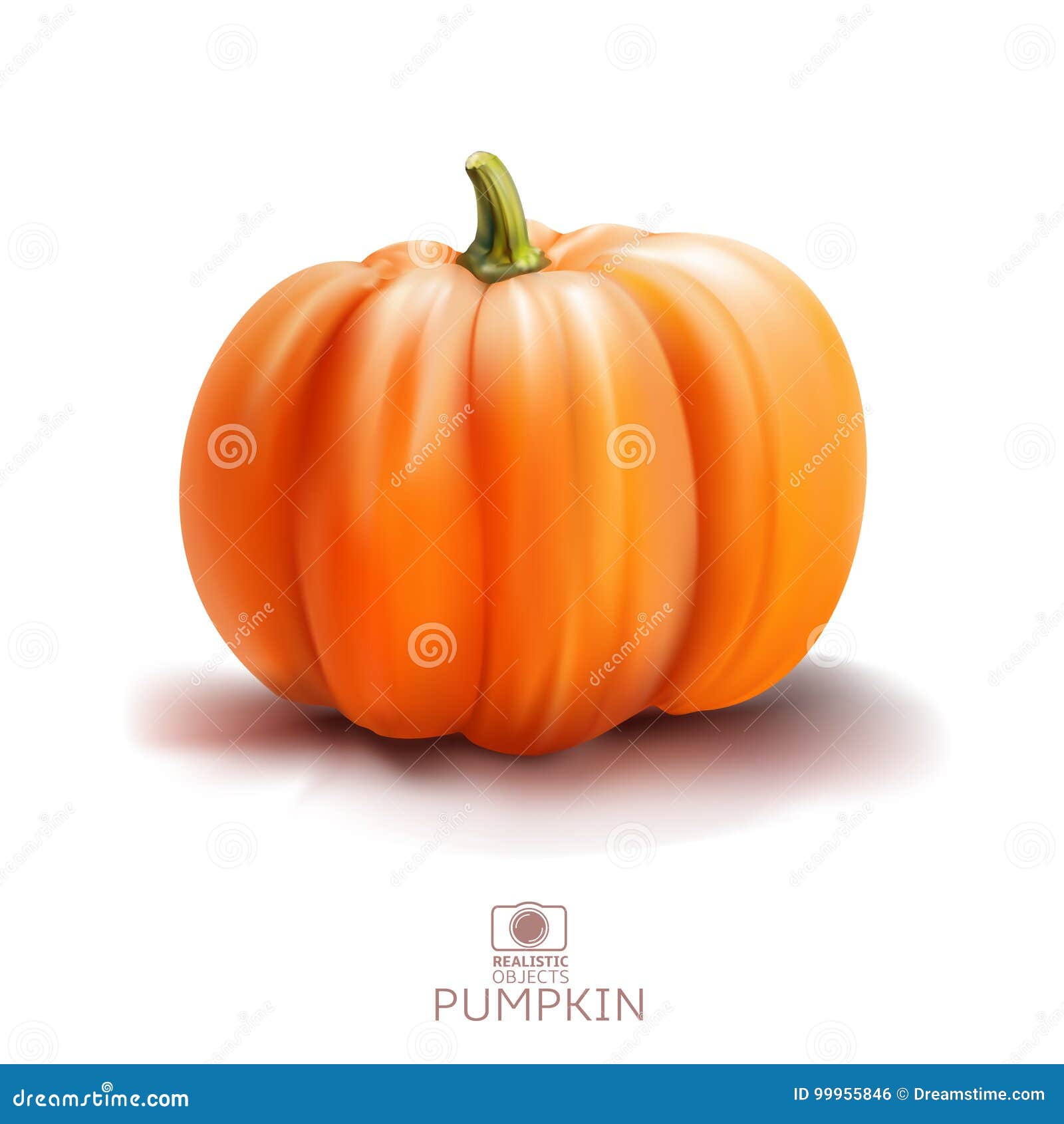 Calabaza Realista Del Vector Ilustración del Vector - Ilustración de ...