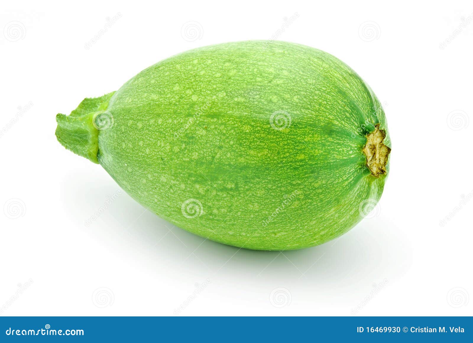 Calabaza verde foto de archivo. Imagen de fresco, aislado - 16469930