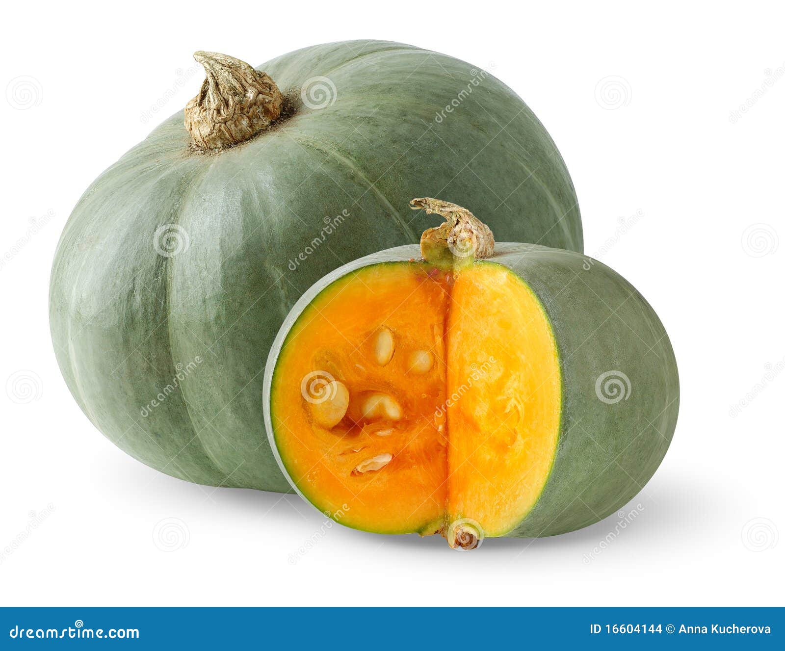 Calabaza verde foto de archivo. Imagen de recorte, salir - 16604144