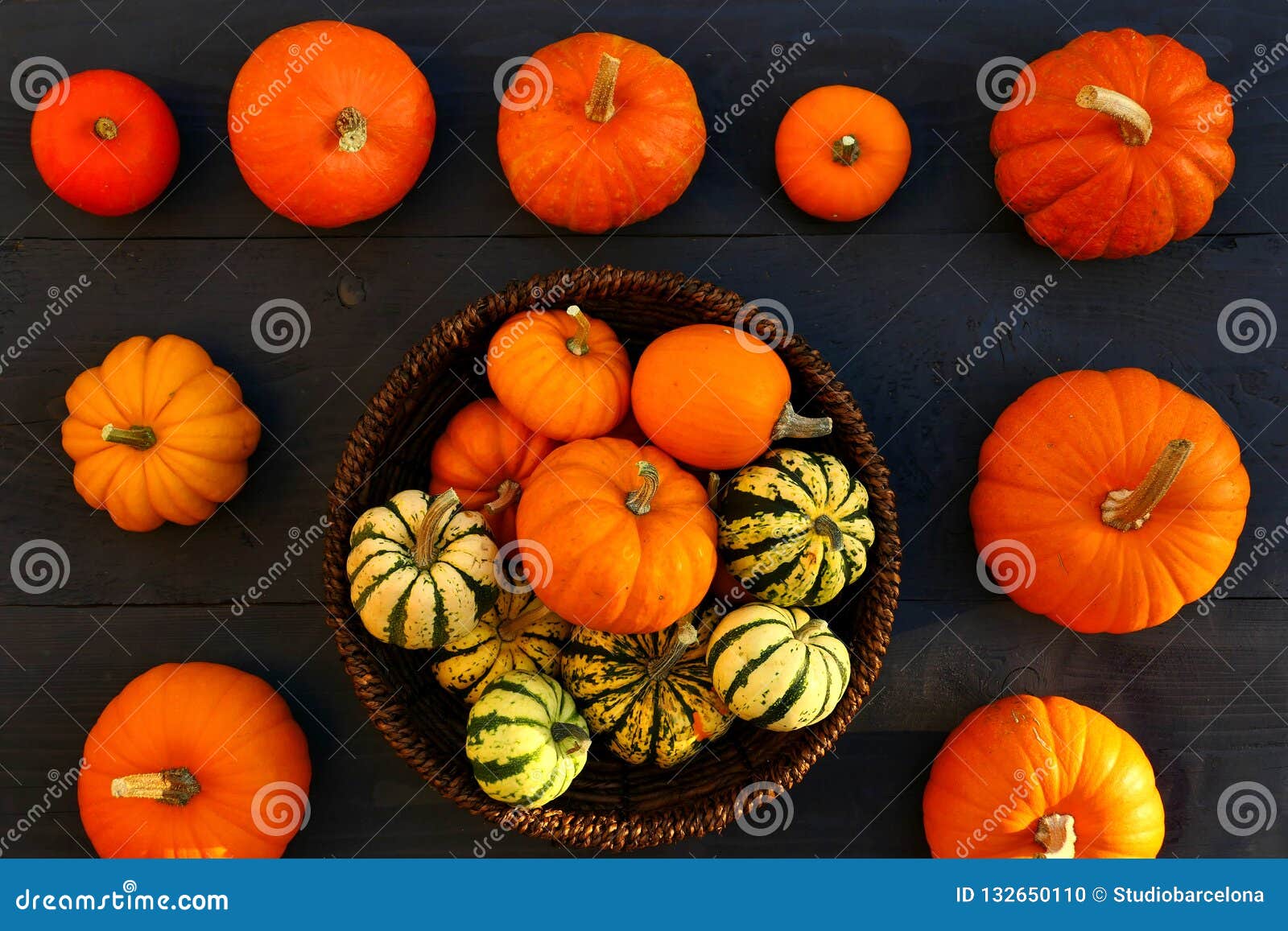 Calabazas Diversos Formas Y Colores Foto de archivo - Imagen de ...