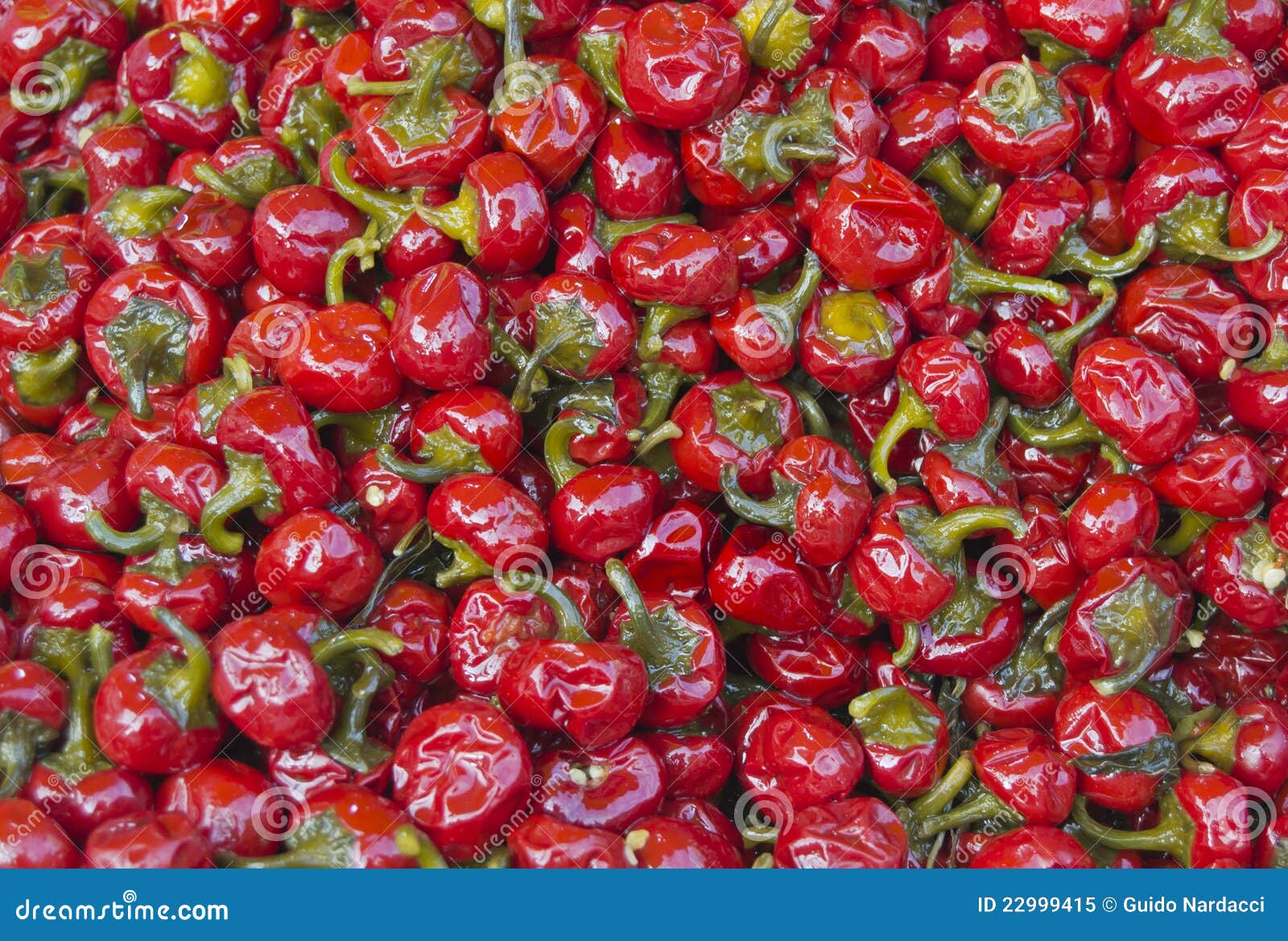 Calabrian chiles stock image. Image of chillies, healthy - 22999415