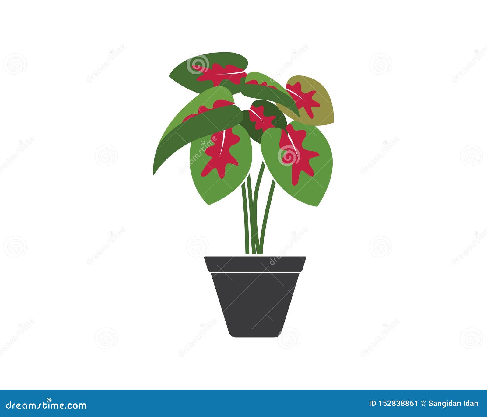 Illustration Of Caladium, Elephant Ear Or Colocasia Plants Background ...