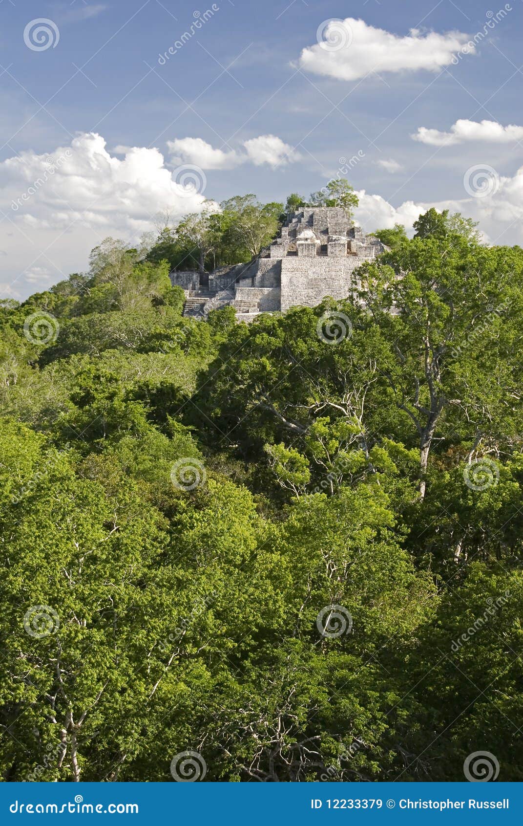 Calakmul stock image. Image of mexico, reserve, nature - 12233379