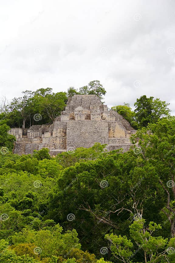 Mayan Pyramids in Calakmul Campeche Mexico III Stock Photo - Image of ...