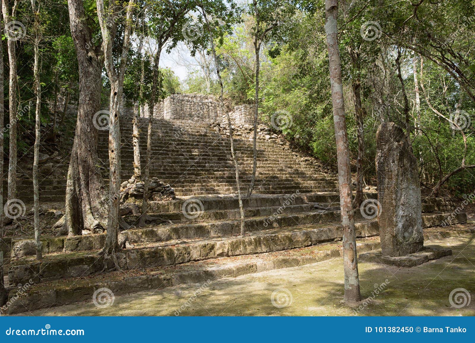 Calakmul Mayan Ruins in Mexico Stock Photo - Image of mayan, forest ...