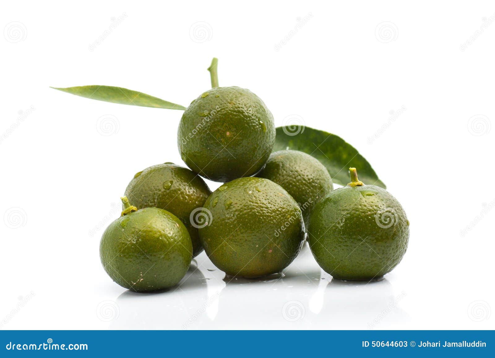 Calamansi with Green Leaf on Isolated Background Stock Image - Image of ...