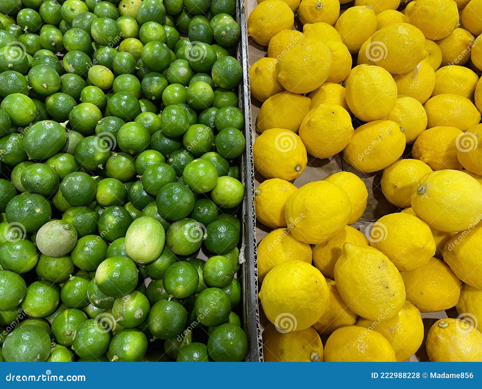 Calamansi and lemon stock photo. Image of calamansi - 222988228