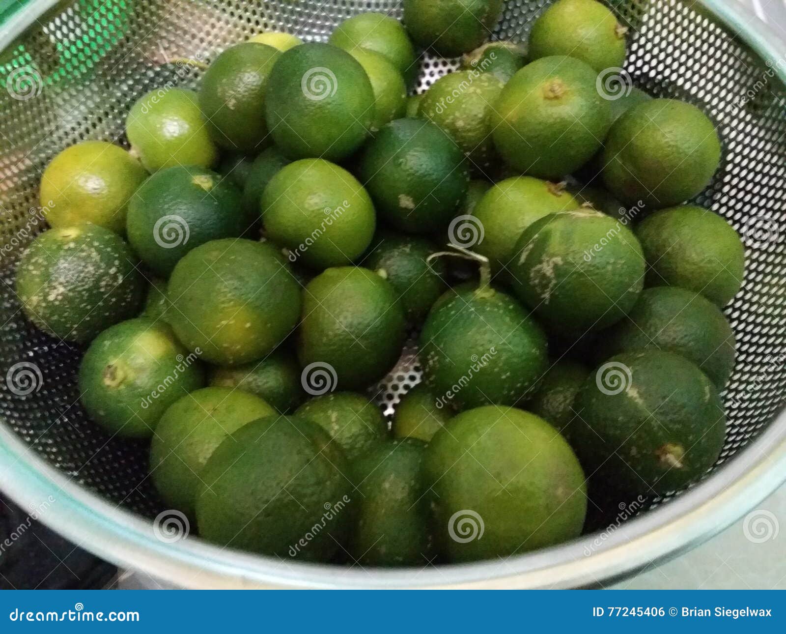Calamansi stock photo. Image of lime, full, philippines - 77245406