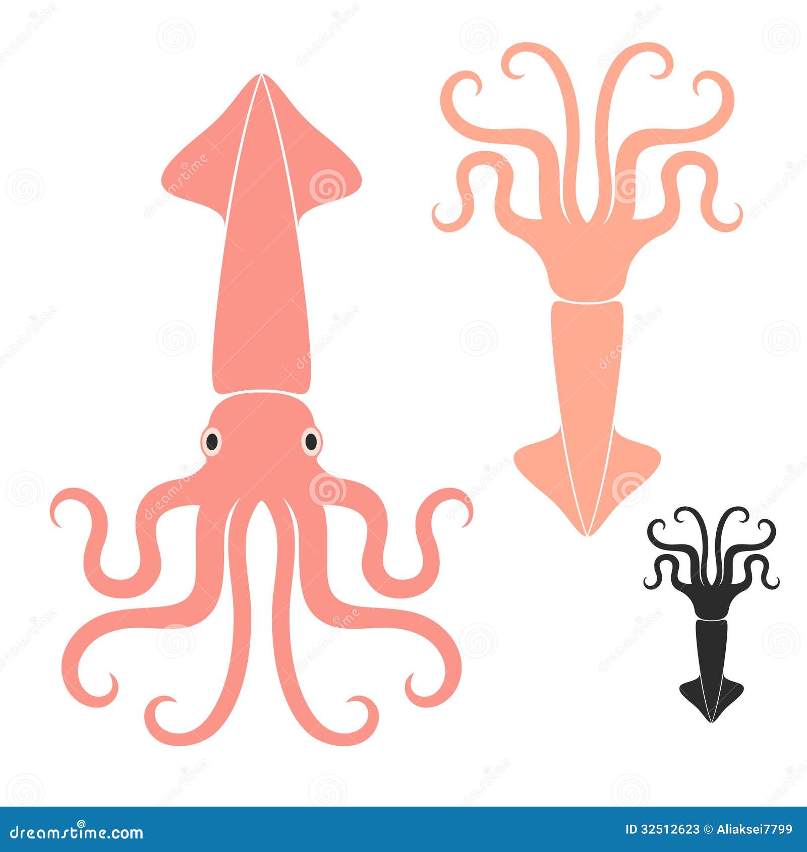 Calamar ilustración del vector. Ilustración de vector - 32512623