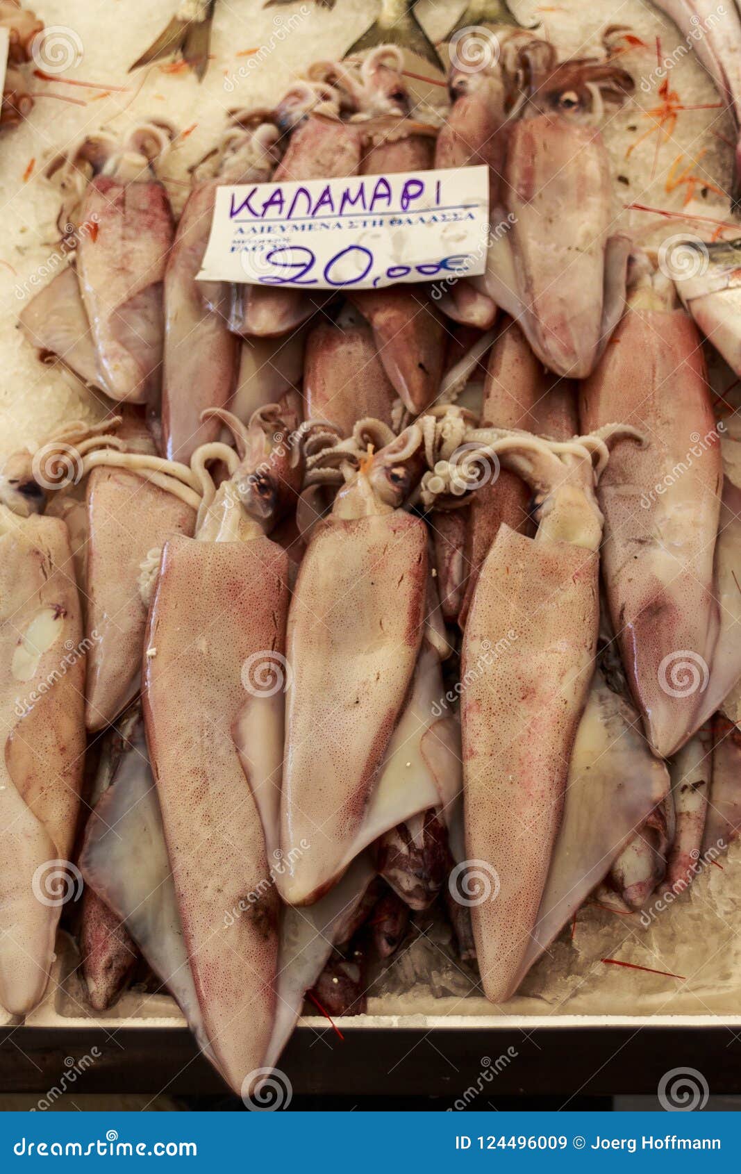 Calamar En Un Mercado Griego Imagen de archivo editorial - Imagen de ...