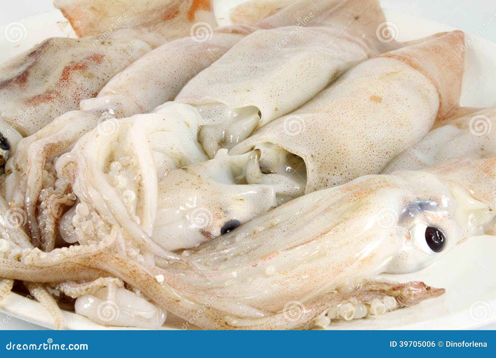 Calamar fresco, crudo foto de archivo. Imagen de cocina - 39705006