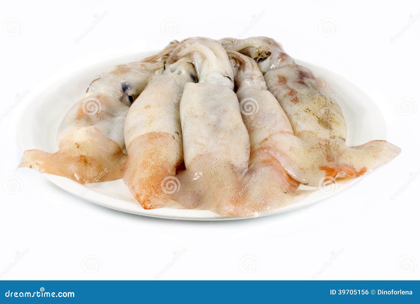 Calamar fresco, crudo foto de archivo. Imagen de grupo - 39705156