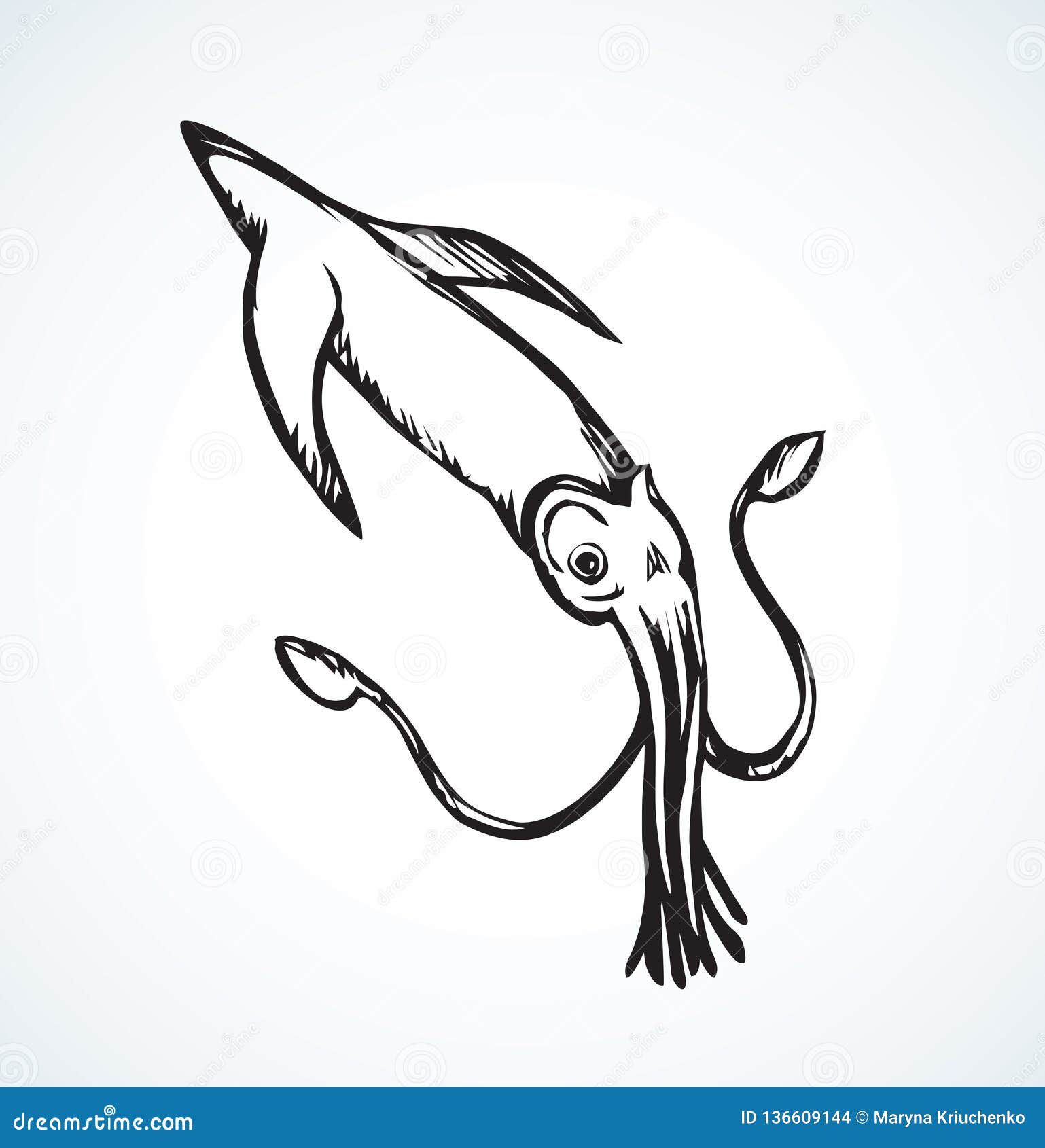 Calamar Gráfico del vector ilustración del vector. Ilustración de ...